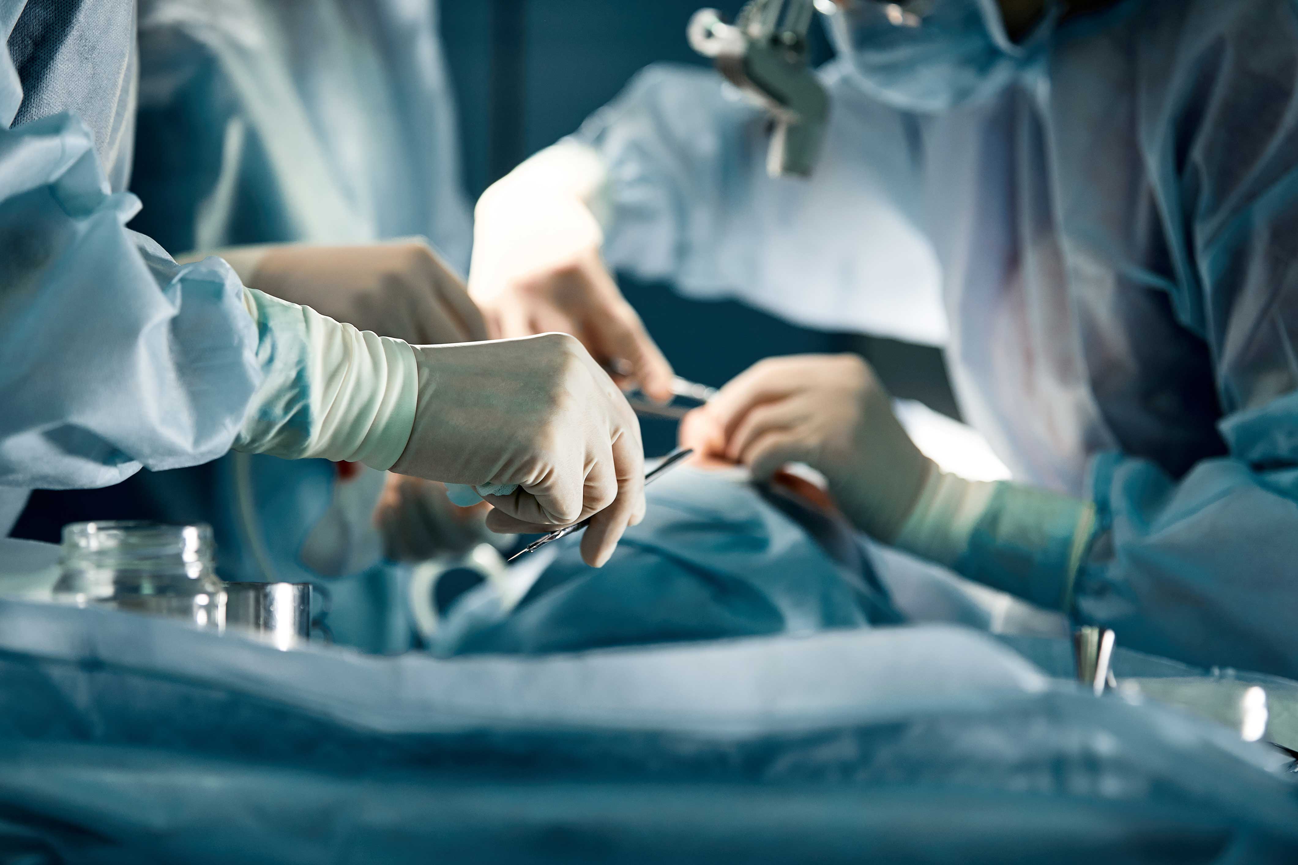 Neue Perspektiven in der Organtransplantation – AC forscht